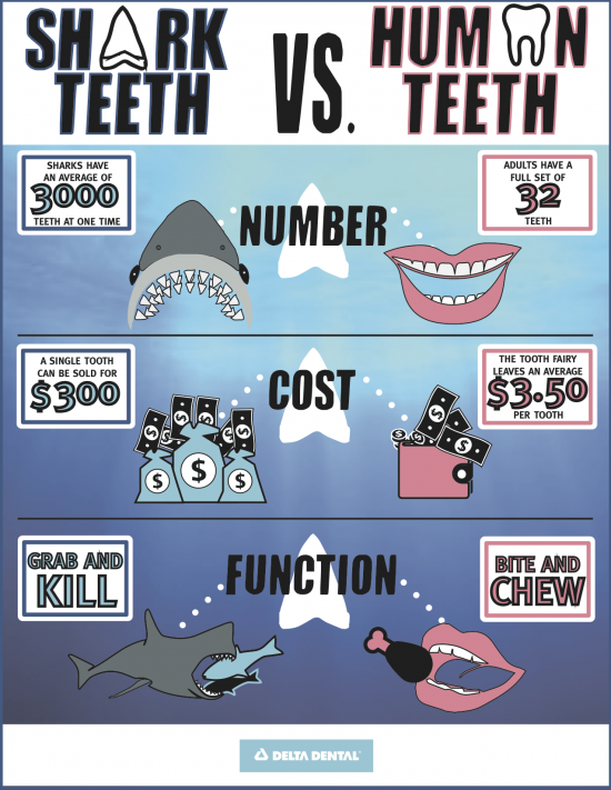 shark-teeth-vs-human-teeth